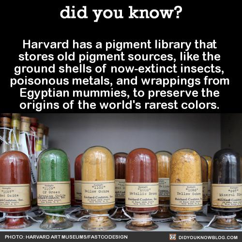 Harvard Pigment Library – Strawberry Hill Fiber Studio